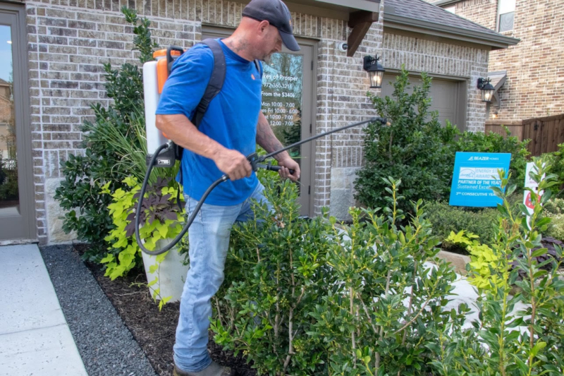 Flower Bed Weed Control - No Bugs No Weeds